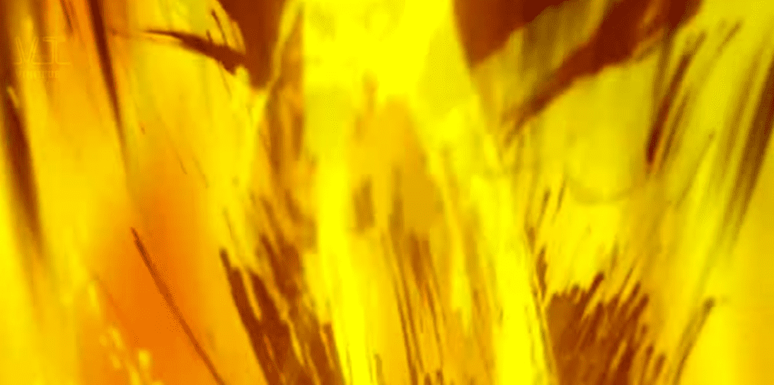 Disintegrate 5e: Complete guide on how to use the spell [2023 ...