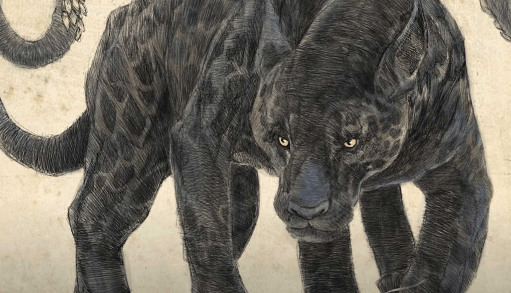 Animal Friendship 5e Dnd - We bet you did not know this use + best ...