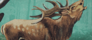 Giant Elk 5e: how they work and their best uses - Creature College