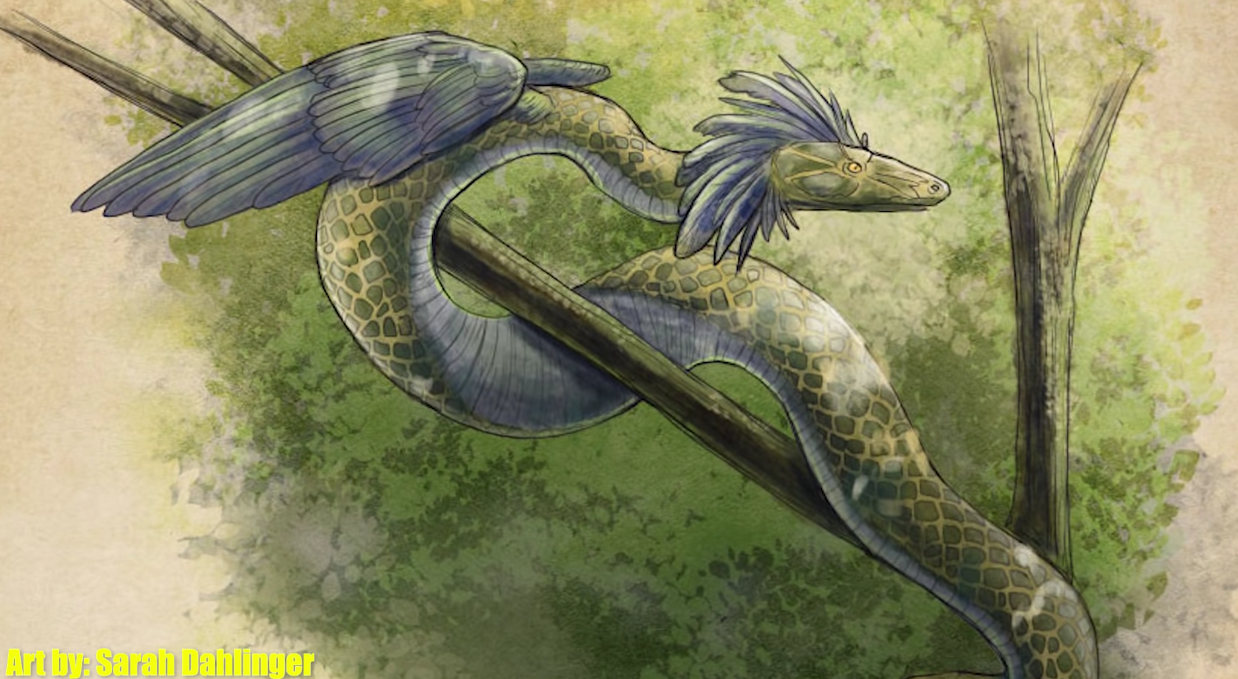 The Ultimate Summoner Build 5e Guide - Creature College